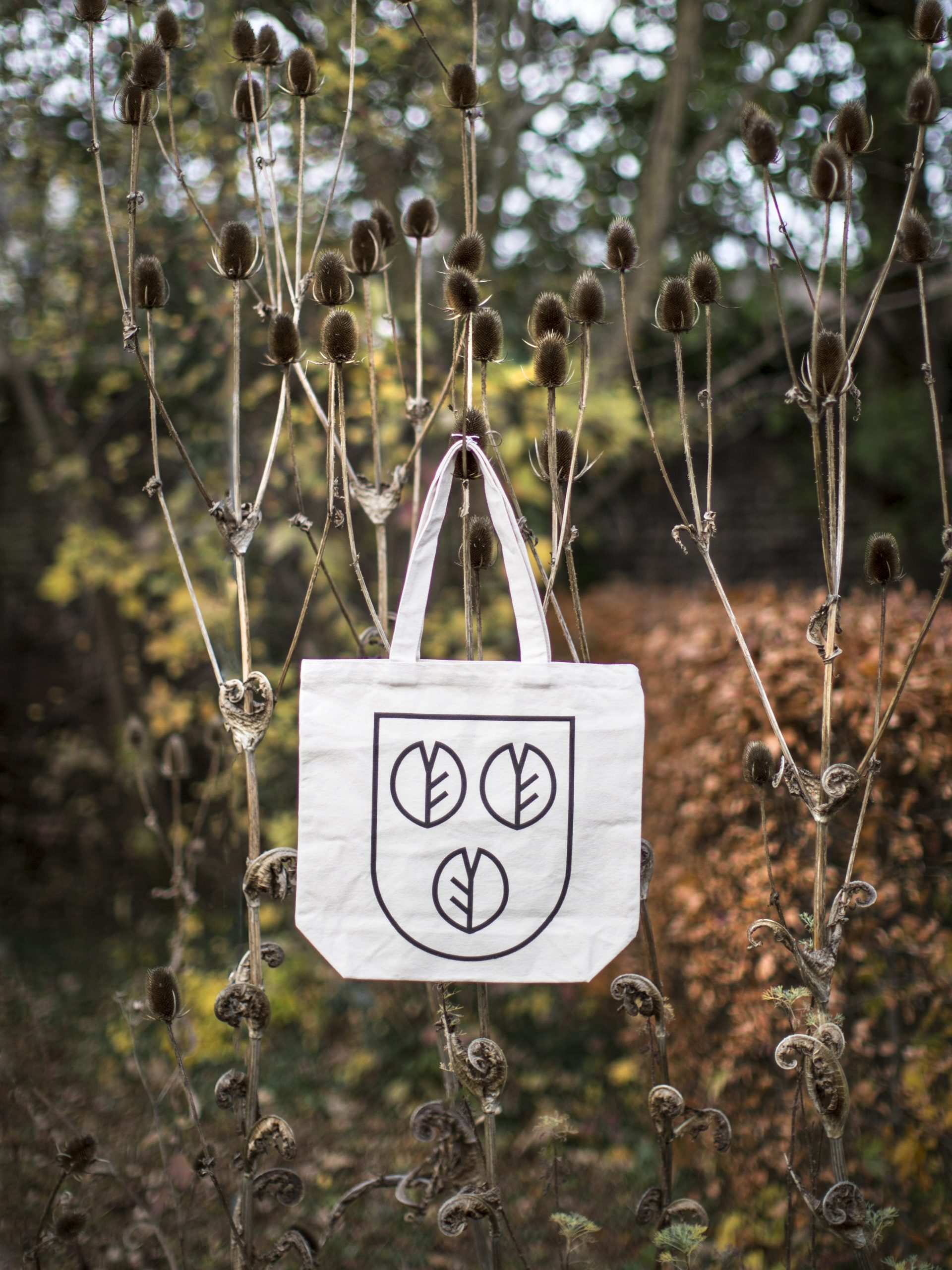 Vrienden van Marres - Marres