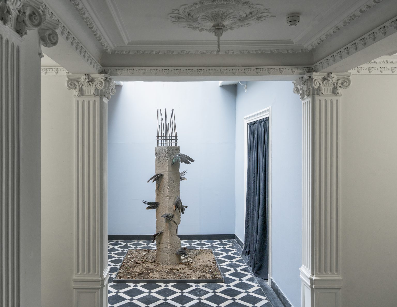 Alejandro Galván - Vultures & Fireflies - Marres