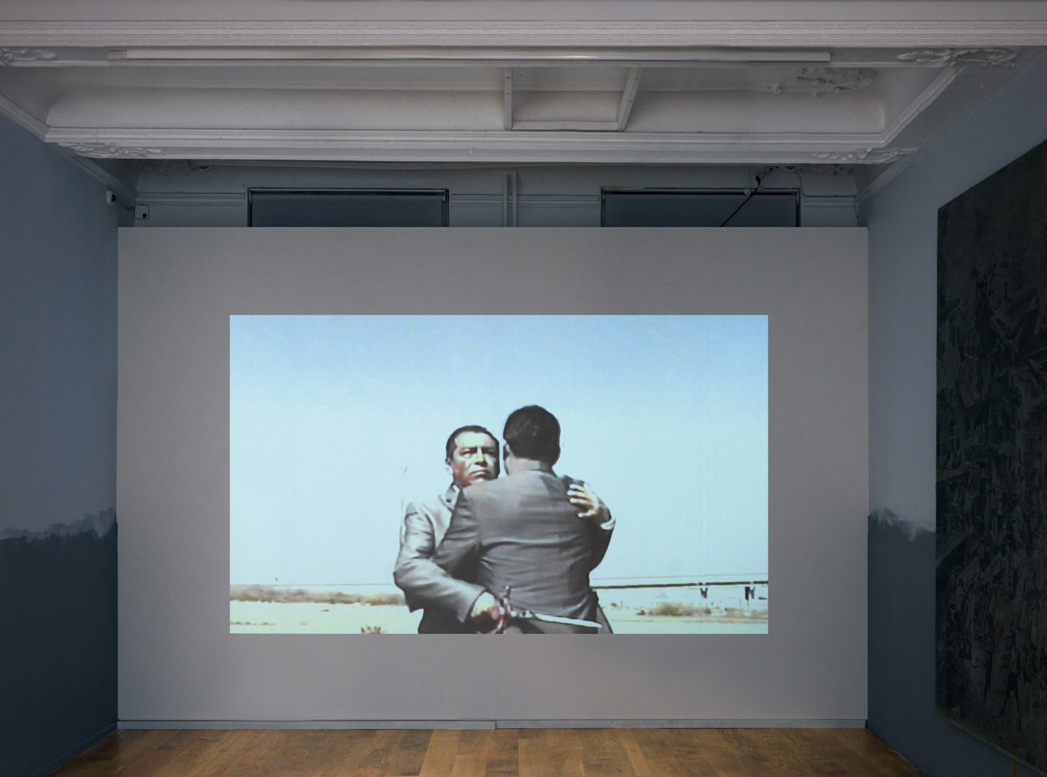 Alejandro Galván - Vultures & Fireflies - Marres